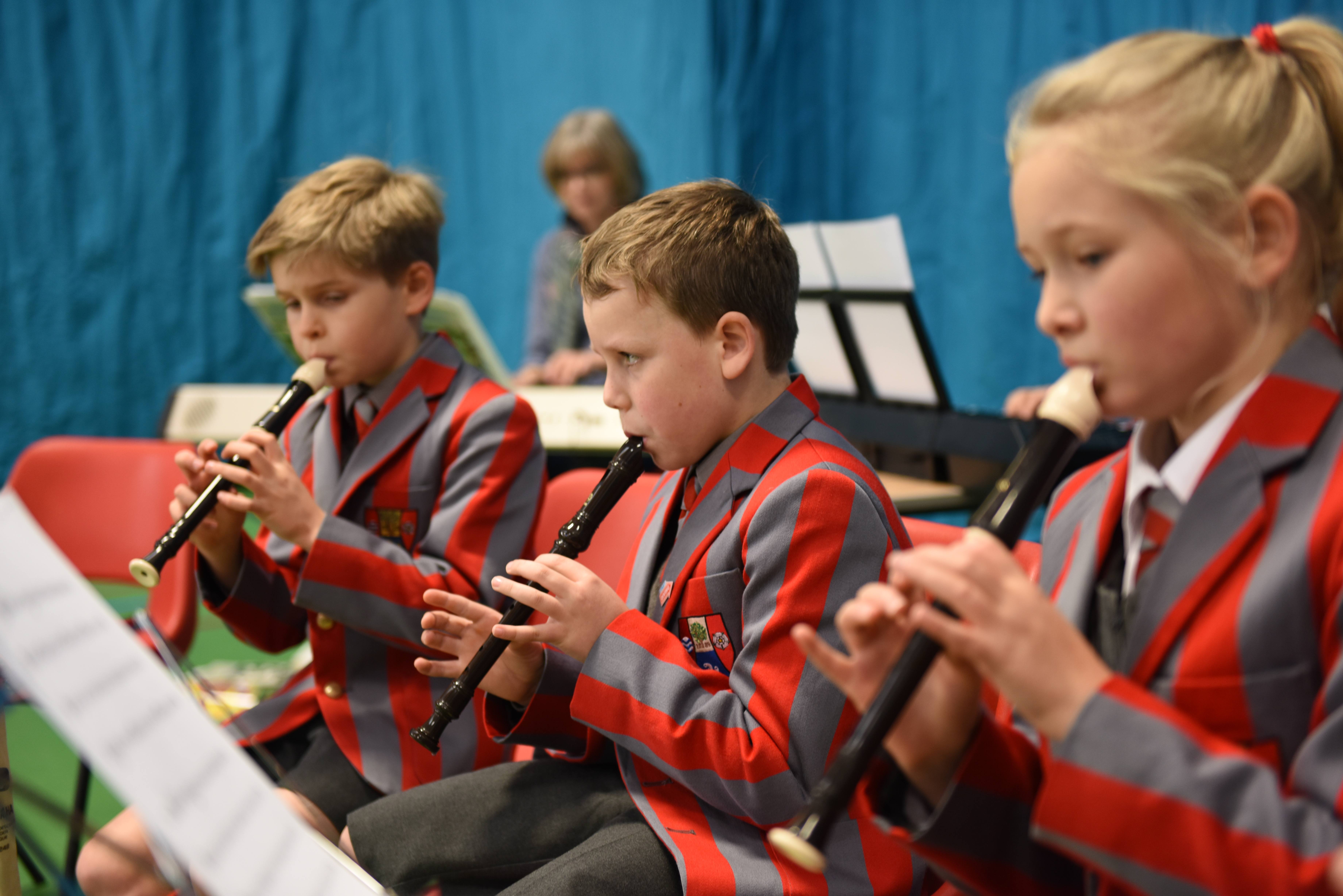 Musical Ensemble Entertain